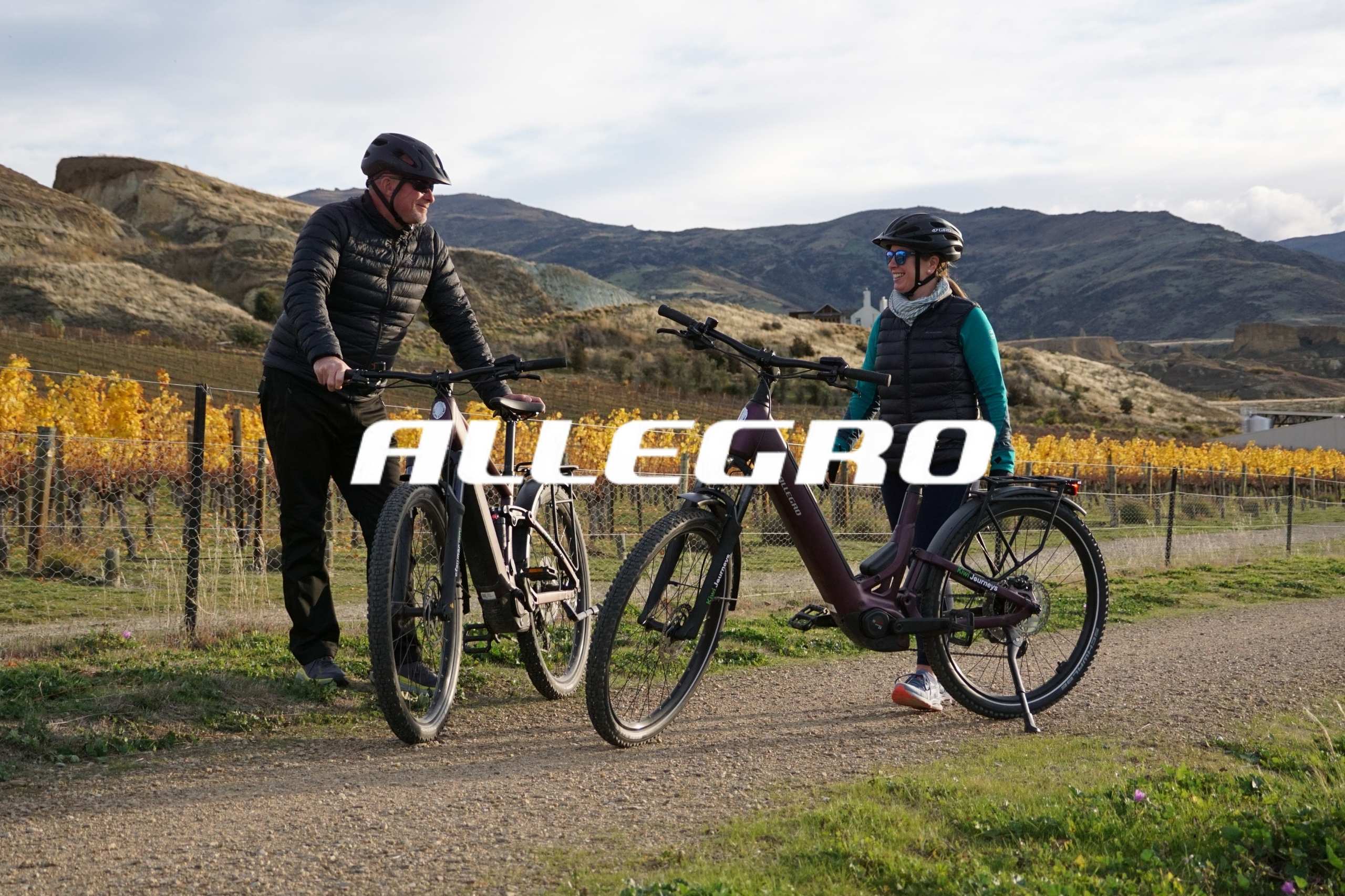 Allegro – Ebikes Direct